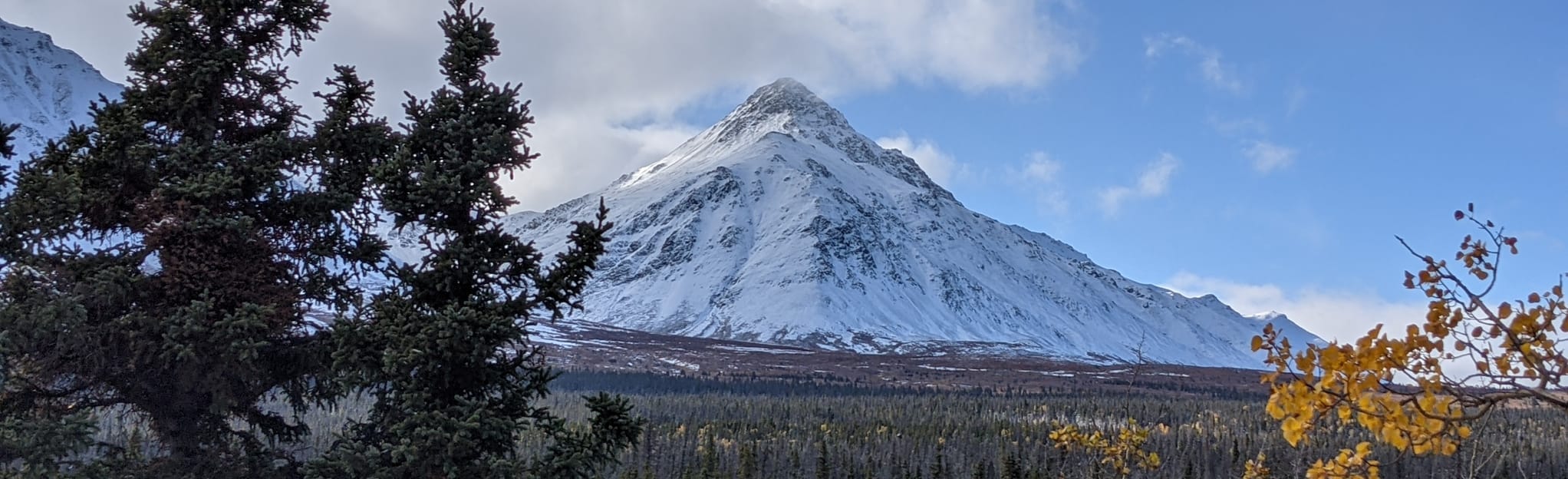 Spruce Beetle Trail, Yukon, Canada - 18 Reviews, Map | AllTrails