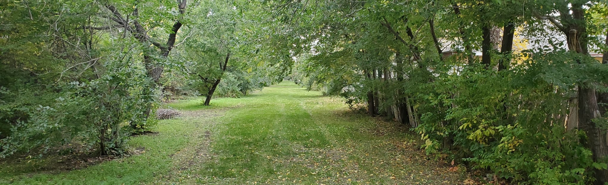 Douglas Park Loop: 9 Reviews, Map - Saskatchewan, Canada | AllTrails