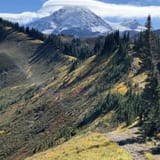 Skyline Divide Trail [CLOSED], Washington - 752 Reviews, Map | AllTrails