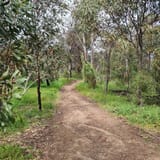 Galatea Point & Dights Falls Loop, Victoria, Australia - 244 Reviews ...