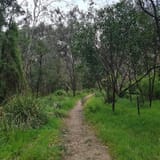Galatea Point & Dights Falls Loop, Victoria, Australia - 244 Reviews ...