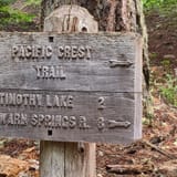 Timothy Lake Loop, Oregon - 267 Reviews, Map | AllTrails