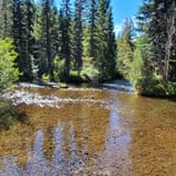 Timothy Lake Loop, Oregon - 267 Reviews, Map | AllTrails