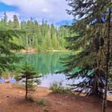Timothy Lake Loop, Oregon - 267 Reviews, Map | AllTrails