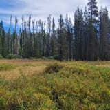 Timothy Lake Loop, Oregon - 267 Reviews, Map | AllTrails
