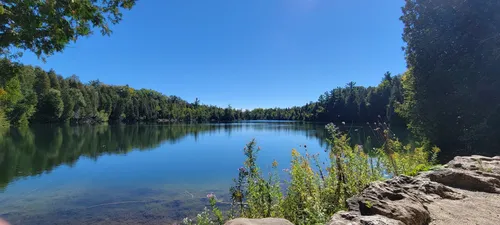 10 Best Hikes and Trails in Crawford Lake Conservation Area | AllTrails