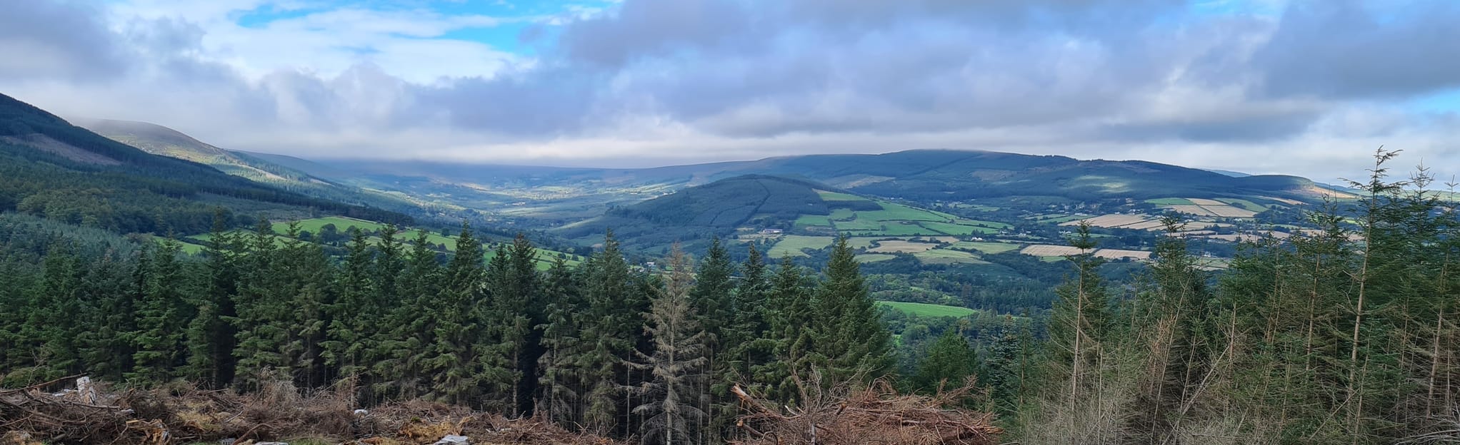 Slieve Foye Loop: 185 foto - County Wicklow, Irlanda | AllTrails