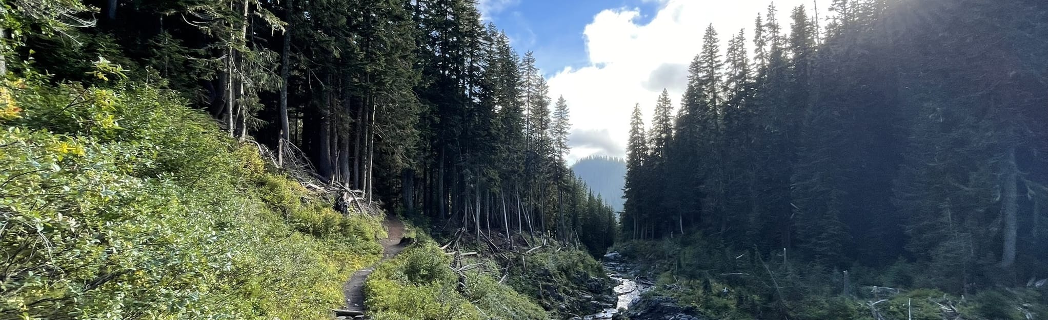 Comet Falls via Van Trump Trail, Washington - 2,357 Reviews, Map ...