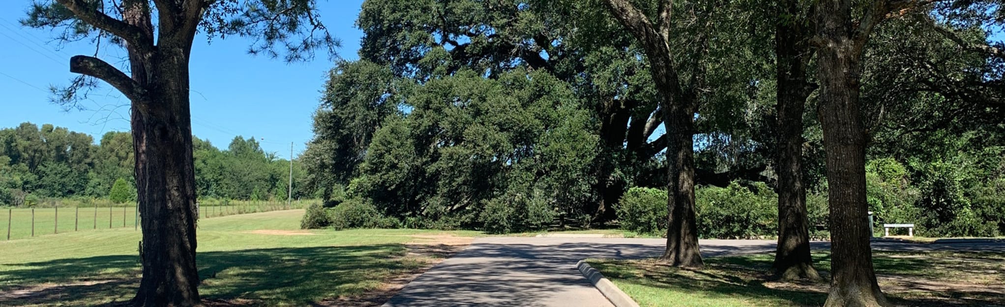 The Junction Trail, Alabama - 2 Reviews, Map | AllTrails