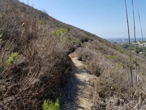 Best Hikes and Trails in Descanso Veterans Park | AllTrails