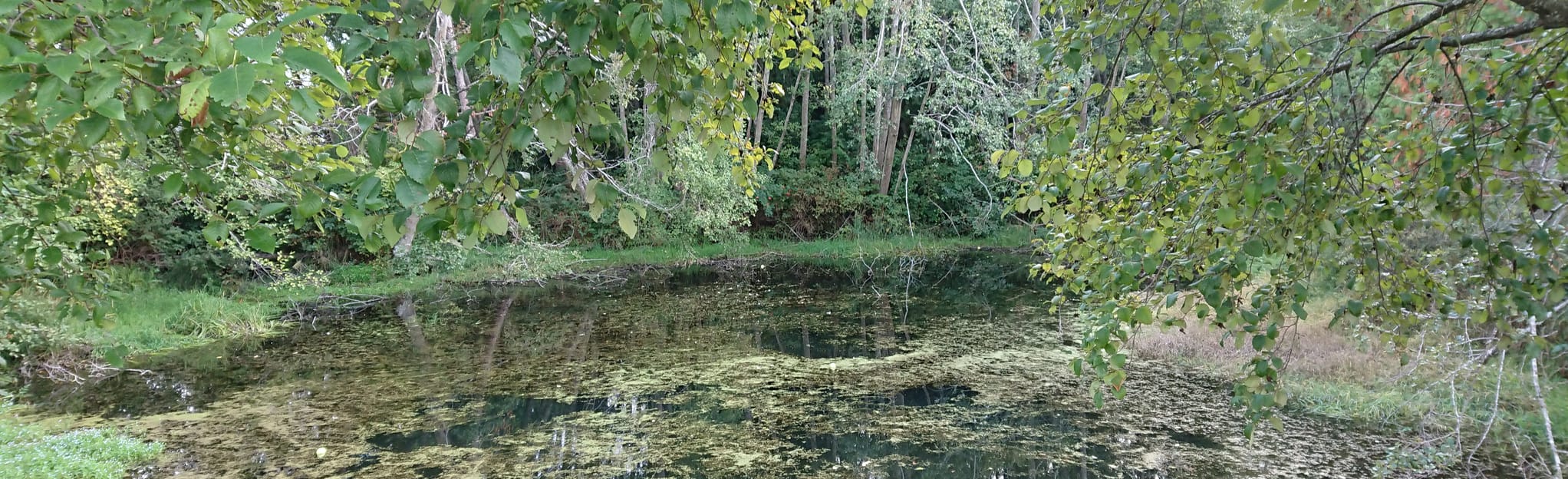 Chesterfield Loop, British Columbia, Canada - 29 Reviews, Map | AllTrails