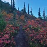 Flora Lake Trail, British Columbia, Canada - 96 Reviews, Map | AllTrails