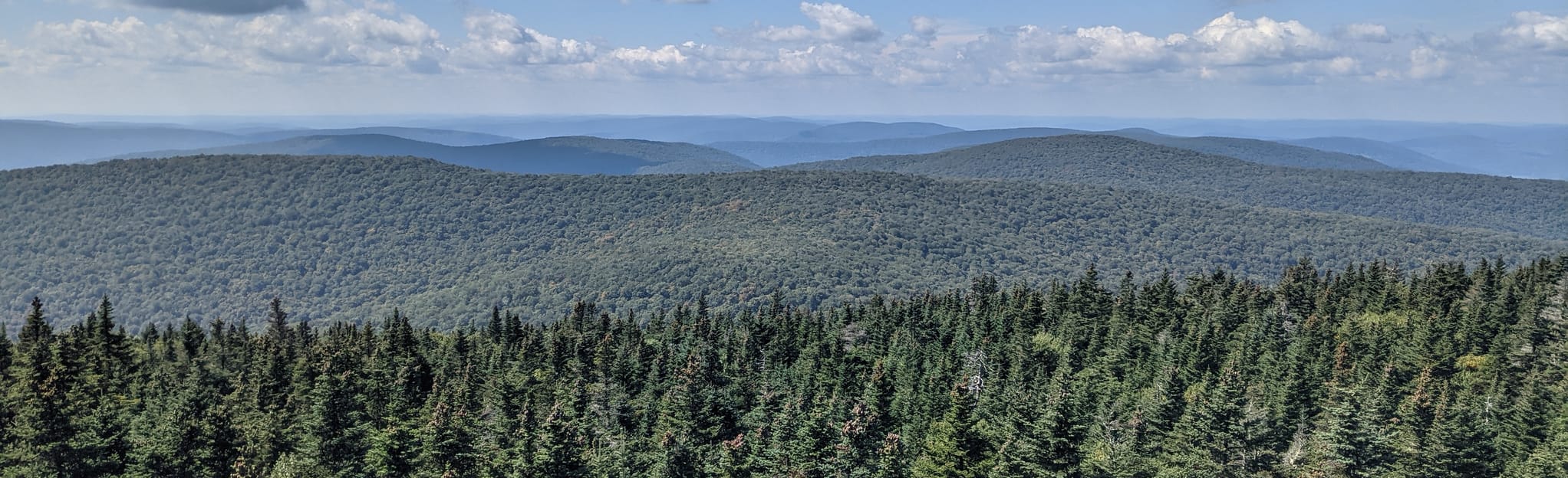 Balsam Lake Mountain via Dry Brook Ridge Trail, New York - 901 Reviews ...
