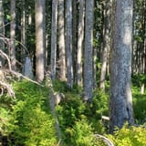 Kludahk Trail, British Columbia, Canada - 63 Reviews, Map | AllTrails