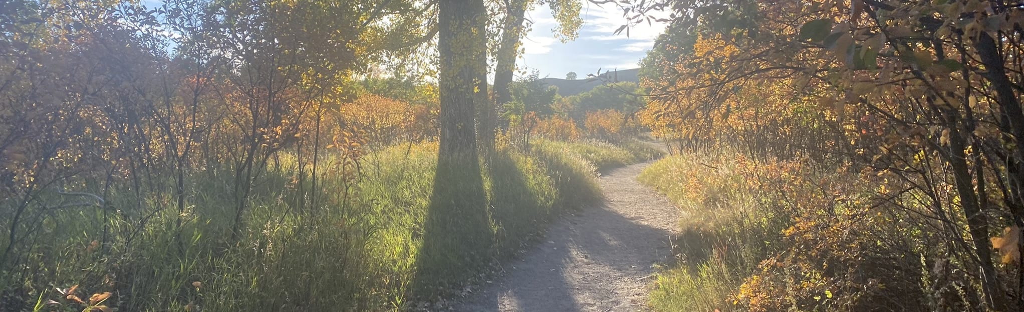 AllTrails | Pavan Park Loop: 76 Reviews, Map - Alberta, Canada