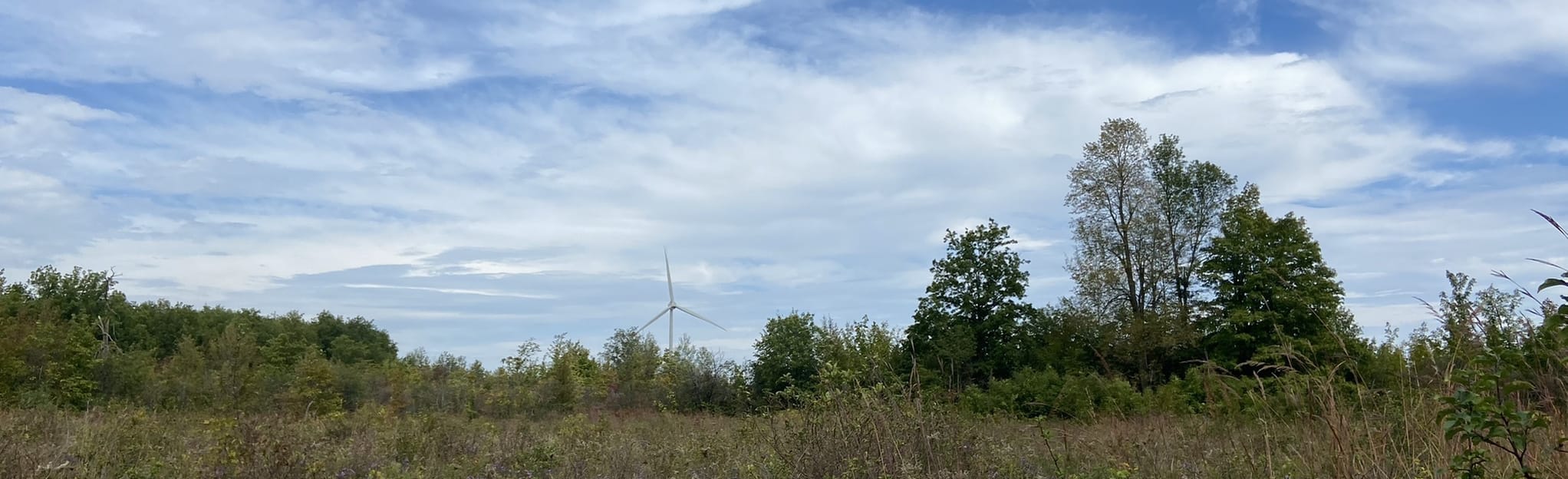 Reveler Conservation Trail, Ontario, Canada - 67 Reviews, Map | AllTrails