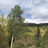 Swampy Pass Trail, Colorado - 36 Reviews, Map | AllTrails