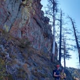 Tronsen Ridge Trail, Washington - 123 Reviews, Map | AllTrails