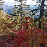 Tronsen Ridge Trail, Washington - 123 Reviews, Map | AllTrails