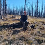 Tronsen Ridge Trail, Washington - 123 Reviews, Map | AllTrails