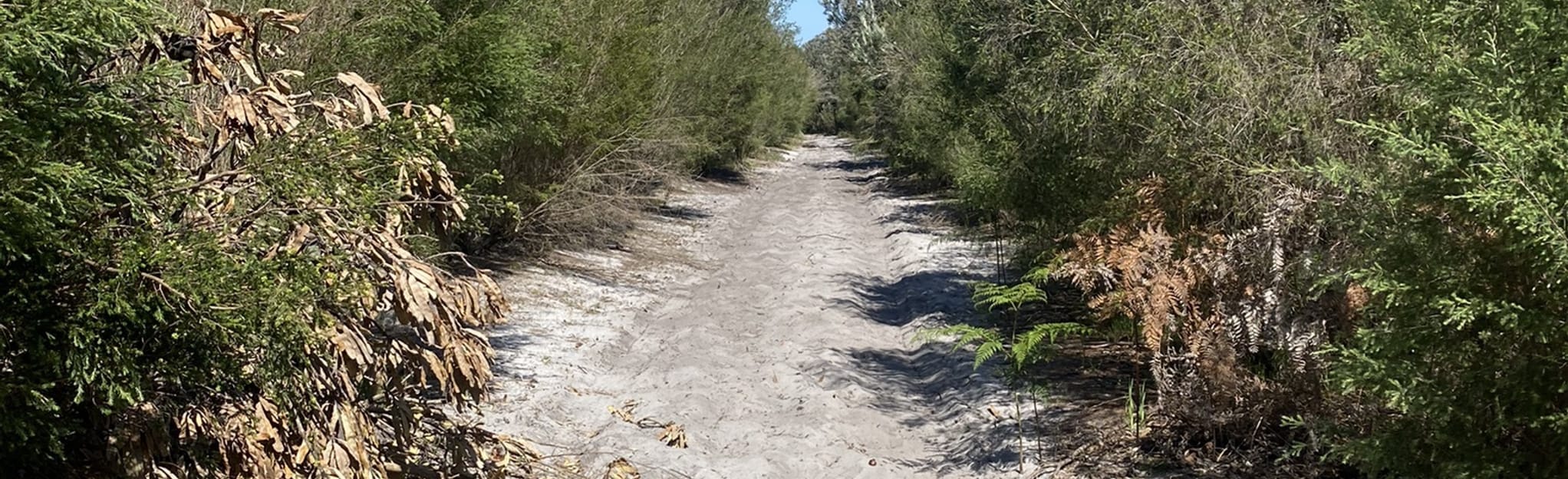 Jandakot Regional Park Loop, Western Australia, Australia - 9 Reviews ...