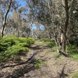 Jandakot Regional Park Loop, Western Australia, Australia - 19 Reviews ...