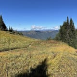 Skyline Divide Trail [CLOSED], Washington - 752 Reviews, Map | AllTrails