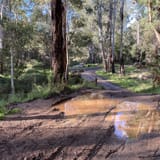Howqua Feeder and Hills Tracks Multiday Walk, Victoria, Australia - 2 ...