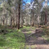 Howqua Feeder and Hills Tracks Multiday Walk, Victoria, Australia - 2 ...