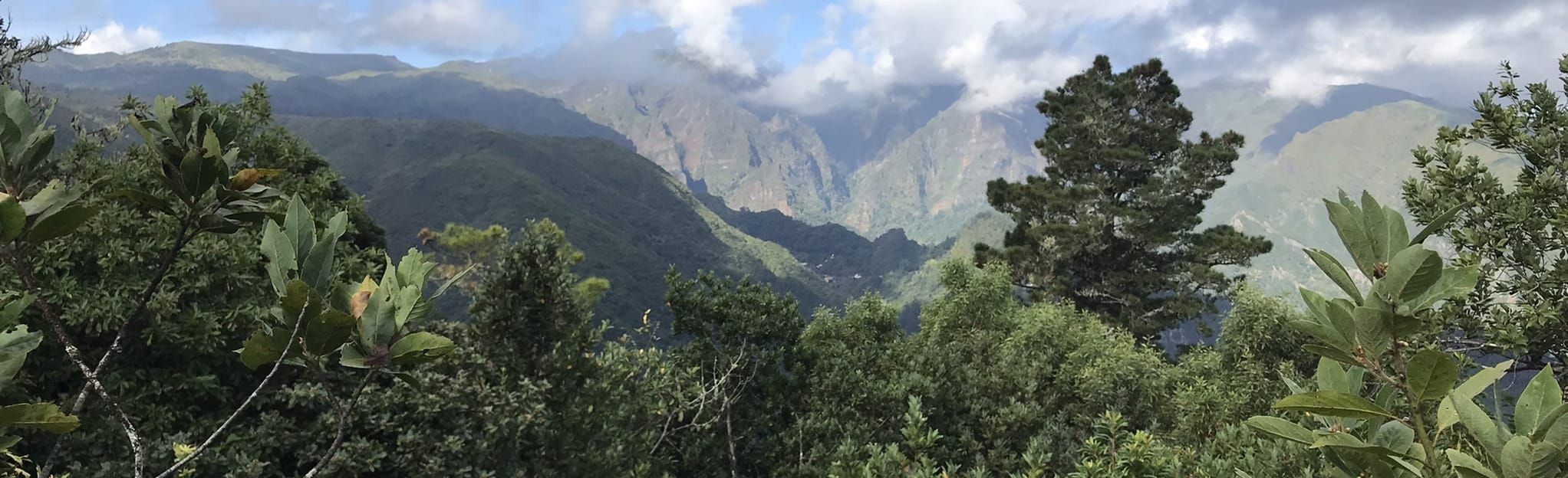 Pico do Suna rute: 41 fotos - Madeira, Portugal | AllTrails