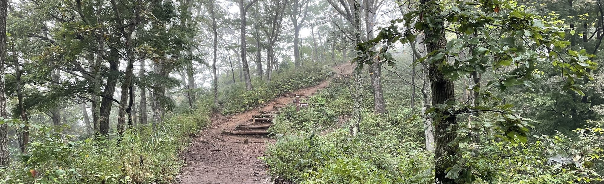 Mount Jinba - Mount Kagenobu, Tokyo, Japan - 6 Reviews, Map | AllTrails