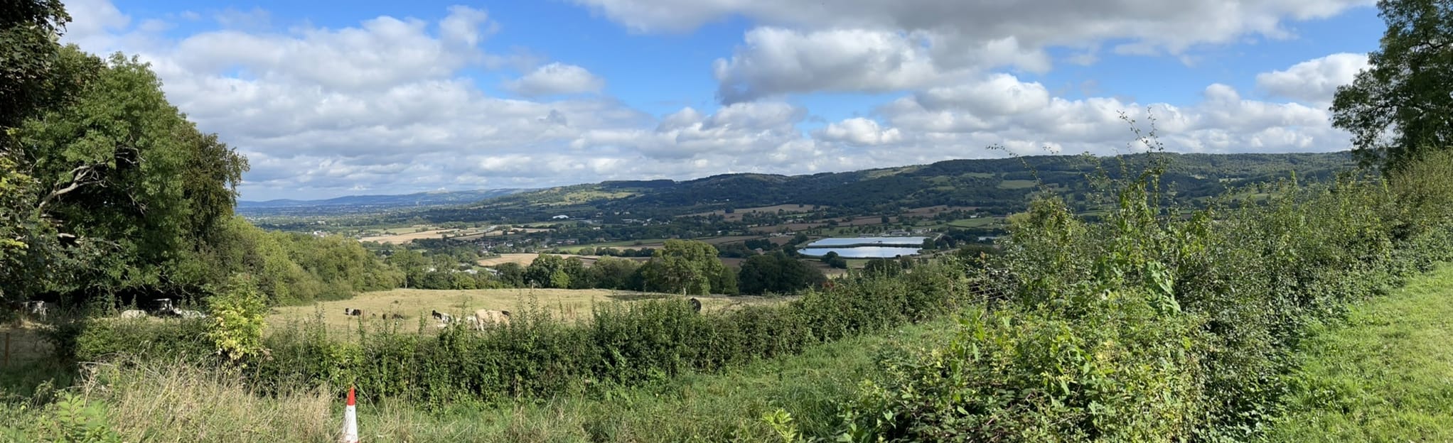 Cooper's Hill and Buckholt Wood Circular, Gloucestershire, England ...