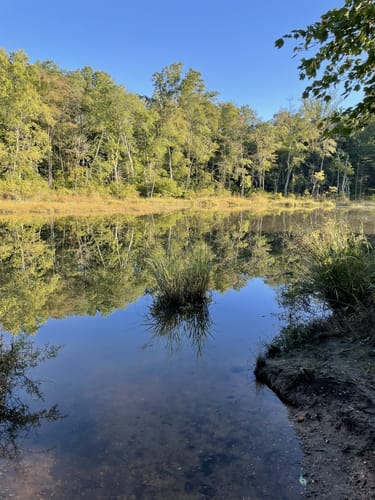 2023 Best trails in Severn Run Natural Environment Area | AllTrails