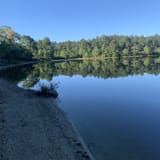 Carbuncle Pond and Moosup River Trail, Rhode Island - 261 Reviews, Map ...