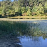 Carbuncle Pond and Moosup River Trail, Rhode Island - 261 Reviews, Map ...