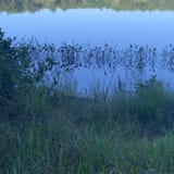 Carbuncle Pond and Moosup River Trail, Rhode Island - 261 Reviews, Map ...