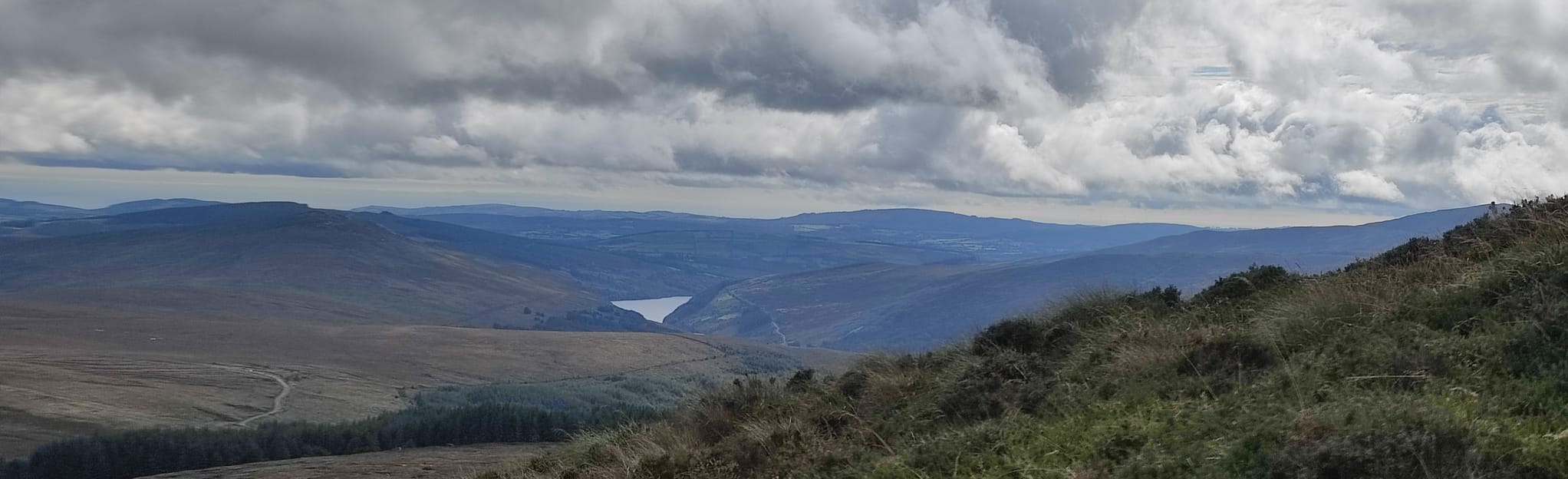 Duff Hill, Gravale and Carrigvore: 45 Reviews, Map - County Wicklow ...