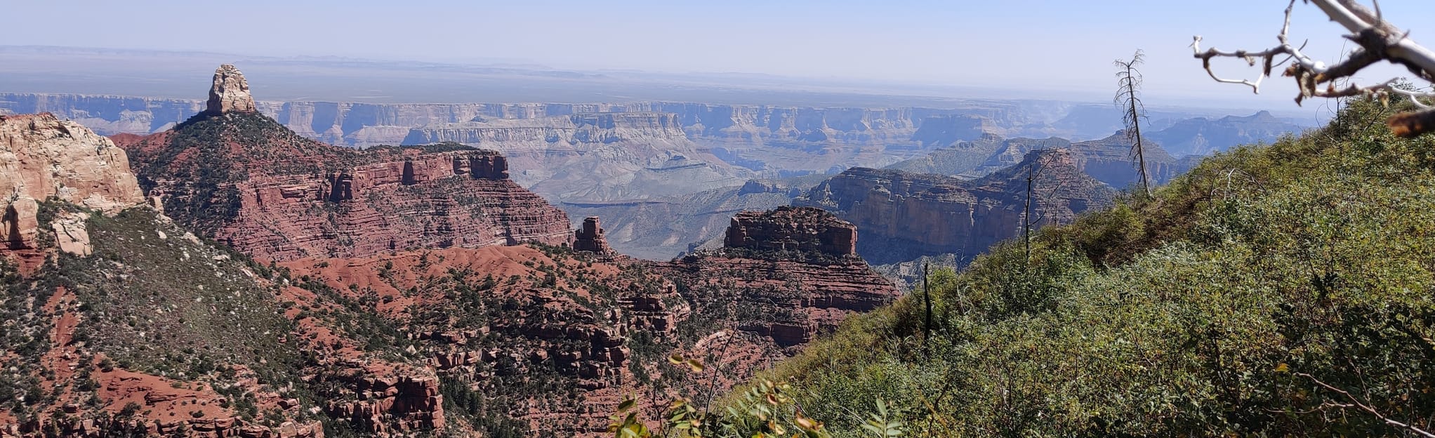 Ken Patrick Trail South from Point Imperial: 185 foto - Arizona | AllTrails