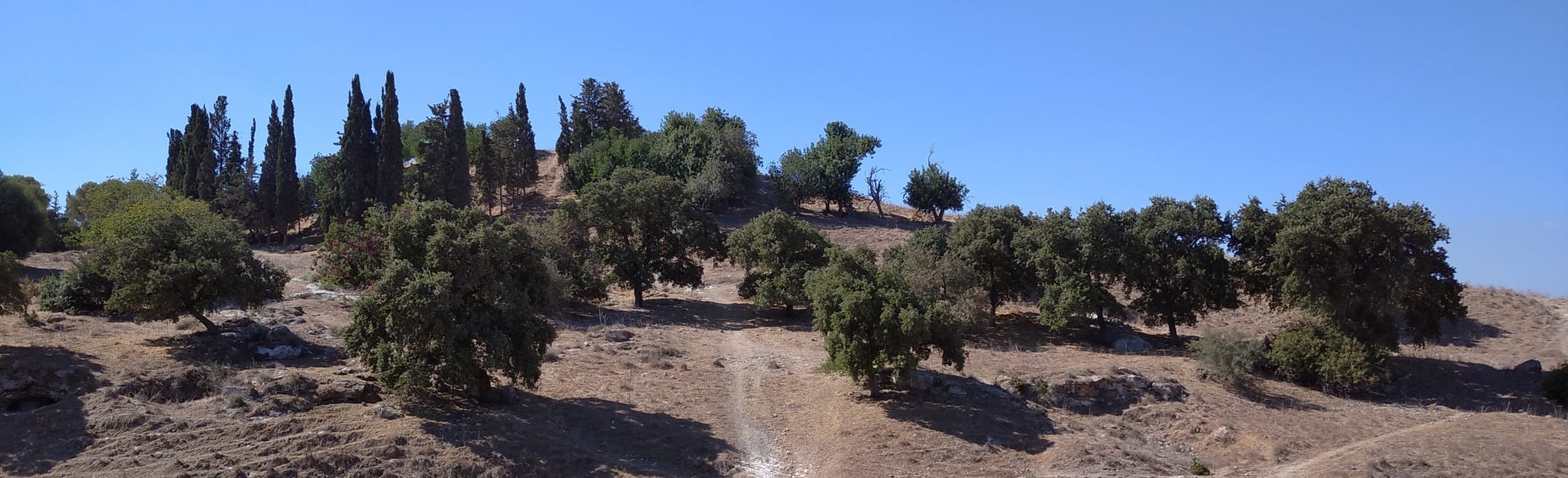 Ramat David, Kfar Horesh Forest, Timrat Ranch and Meshek Tamir ...