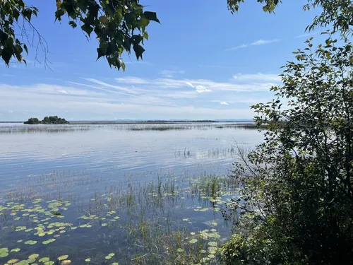 Best Hikes and Trails in Cooper Marsh Conservation Area | AllTrails