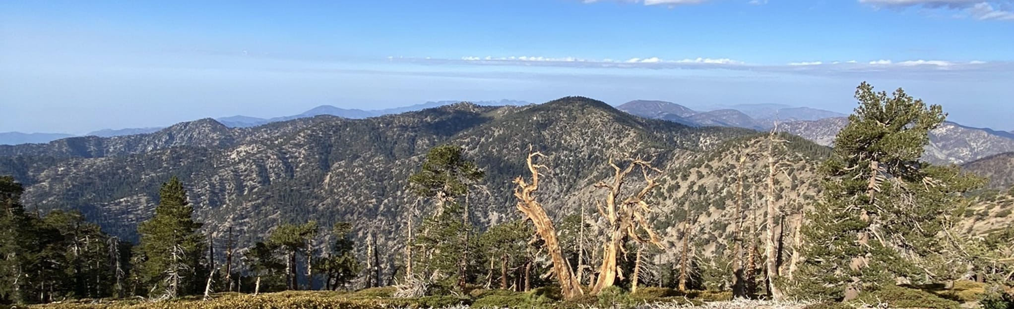 Vincent Gap to Windy Gap: 22 Reviews, Map - California | AllTrails