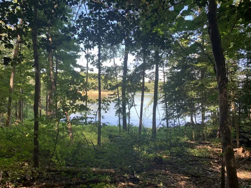 10 Best Forest Trails in Jordan Lake Educational State Forest | AllTrails