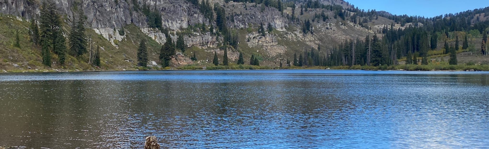 Tony Grove Nature Trail, Utah - 213 Reviews, Map | AllTrails
