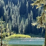 Thorp Lake via Thorp Creek Trail, Washington - 136 Reviews, Map | AllTrails