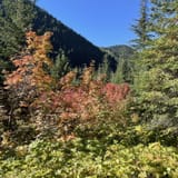 Thorp Lake via Thorp Creek Trail, Washington - 136 Reviews, Map | AllTrails