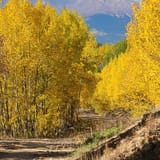 Weston Pass Road, Colorado - 162 Reviews, Map | AllTrails