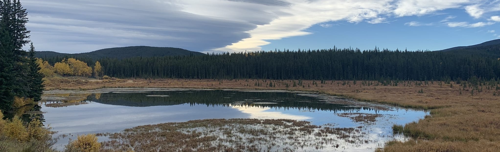 Boucle de Moose Meadows : 337 Photos - Alberta, Canada | Randonnée ...
