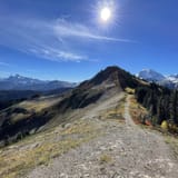 Skyline Divide Trail [CLOSED], Washington - 752 Reviews, Map | AllTrails