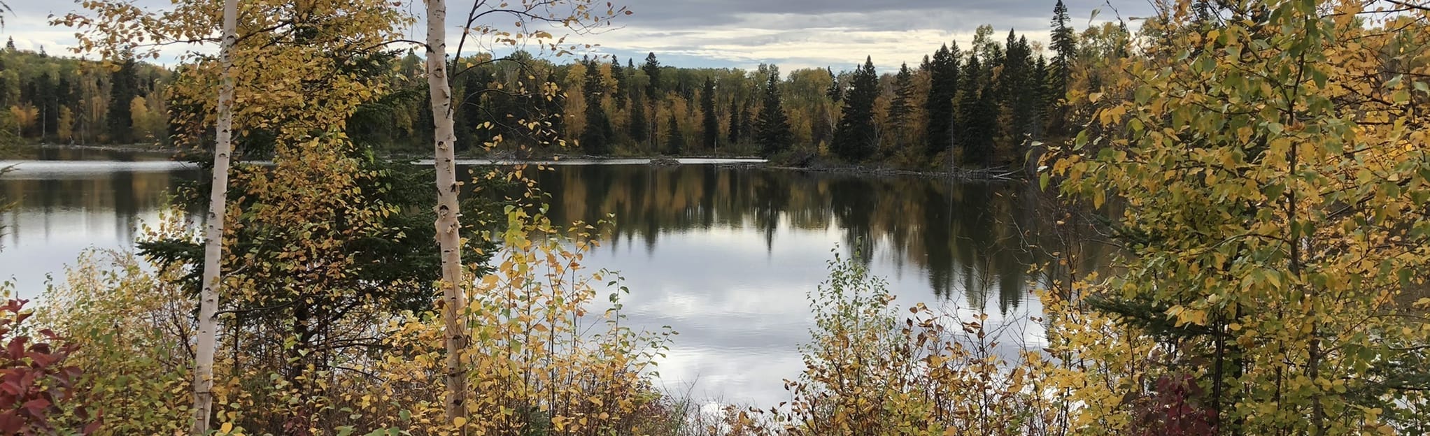 Moose Lake Loop, Saskatchewan, Canada - 20 Reviews, Map | AllTrails