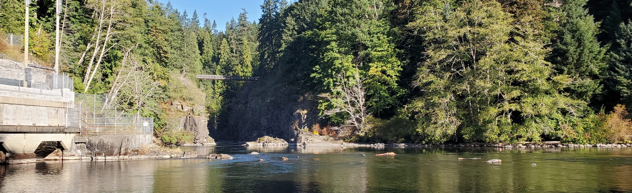 Millennium Trail from Elk Falls Trailhead: 93 Reviews, Map - British ...